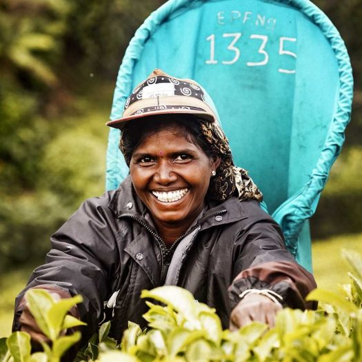 Wereldwinkel Schoonhoven › Tip van Gijs
